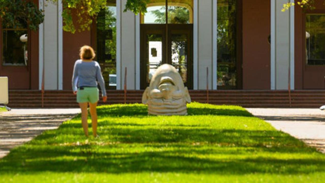 Admissions FAQ | UC Davis Cultural Studies