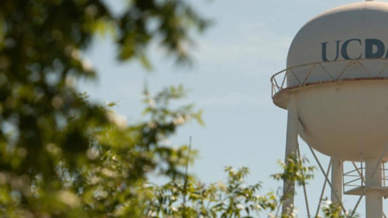 Application Requirements | UC Davis Cultural Studies