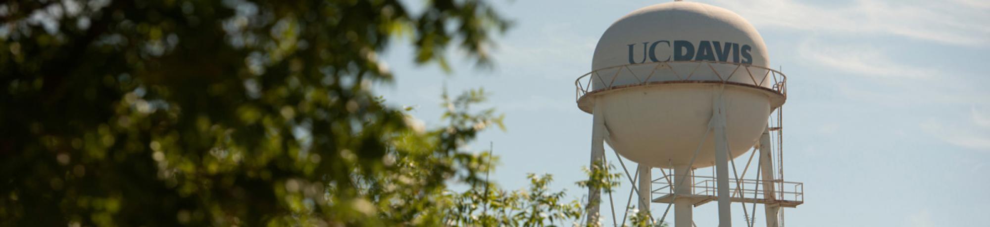 Application Requirements | UCDavis Cultural Studies